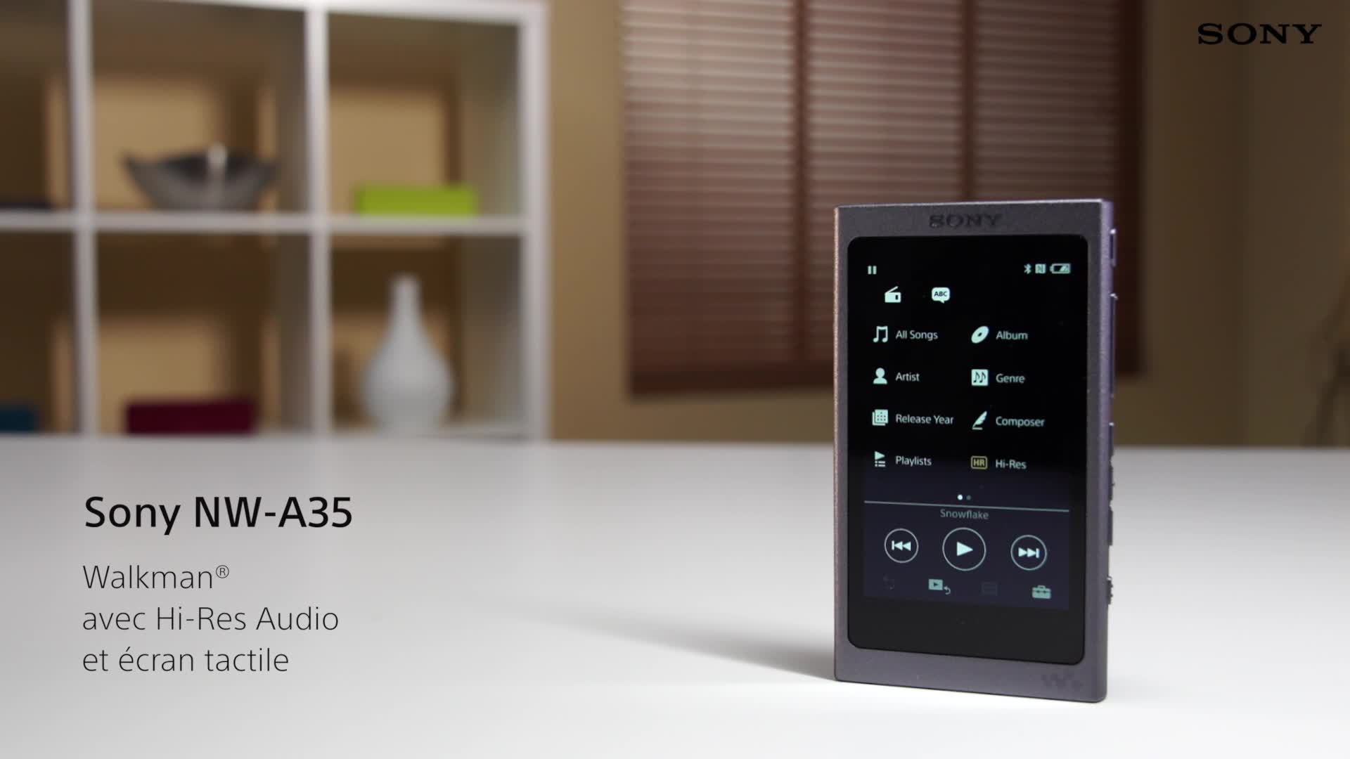 Lecteur Audio Sony NW-A35P Haute Résolution 16 Go Rose - Baladeur MP3 ...