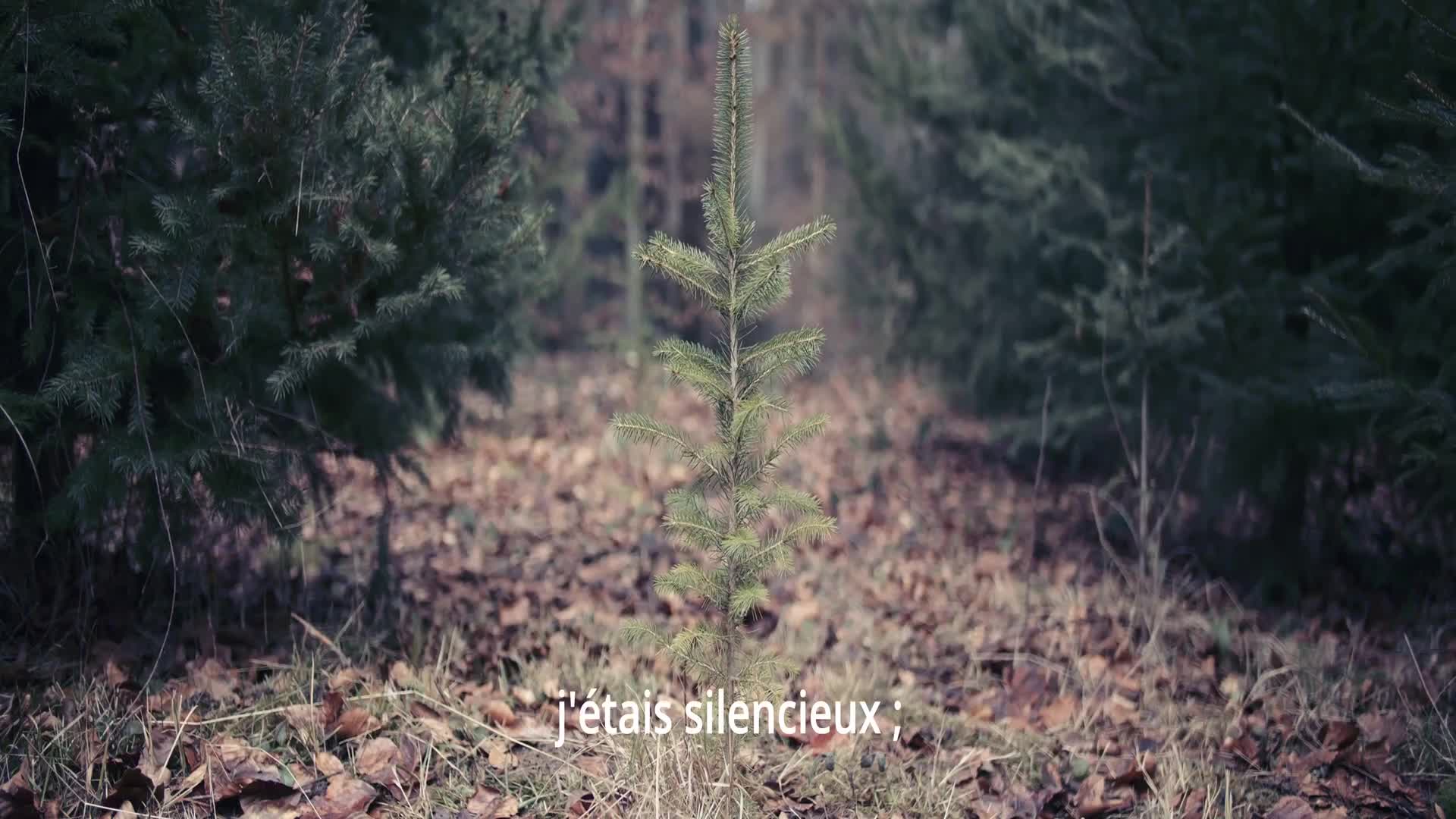 Mortua dulce Cano - Michal Gondko - Robert Rans - CD album - Achat ...