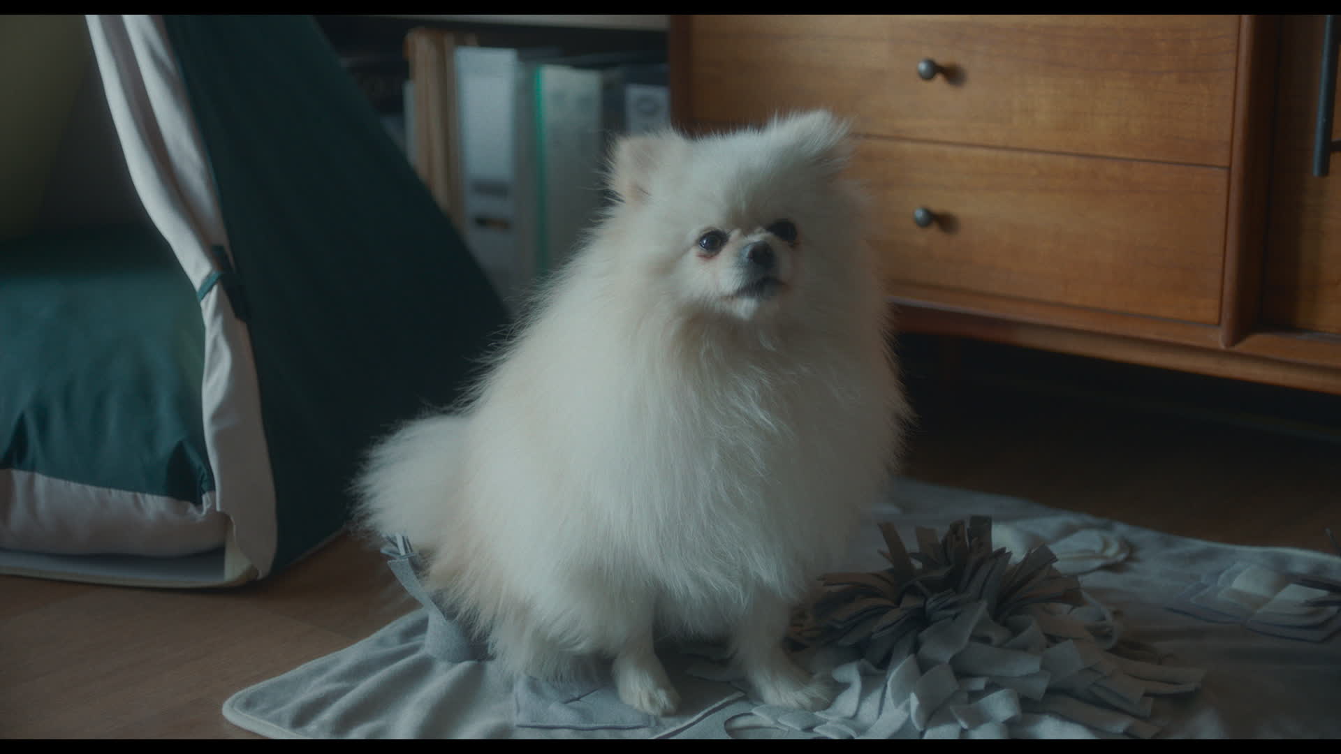 Sleep DVD - Jason Yu - DVD Zone 2 - Achat & prix | fnac