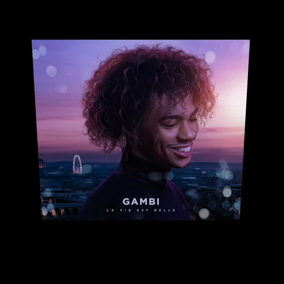 La vie est belle Exclusivité Fnac Edition Limitée et numérotée : CD ...