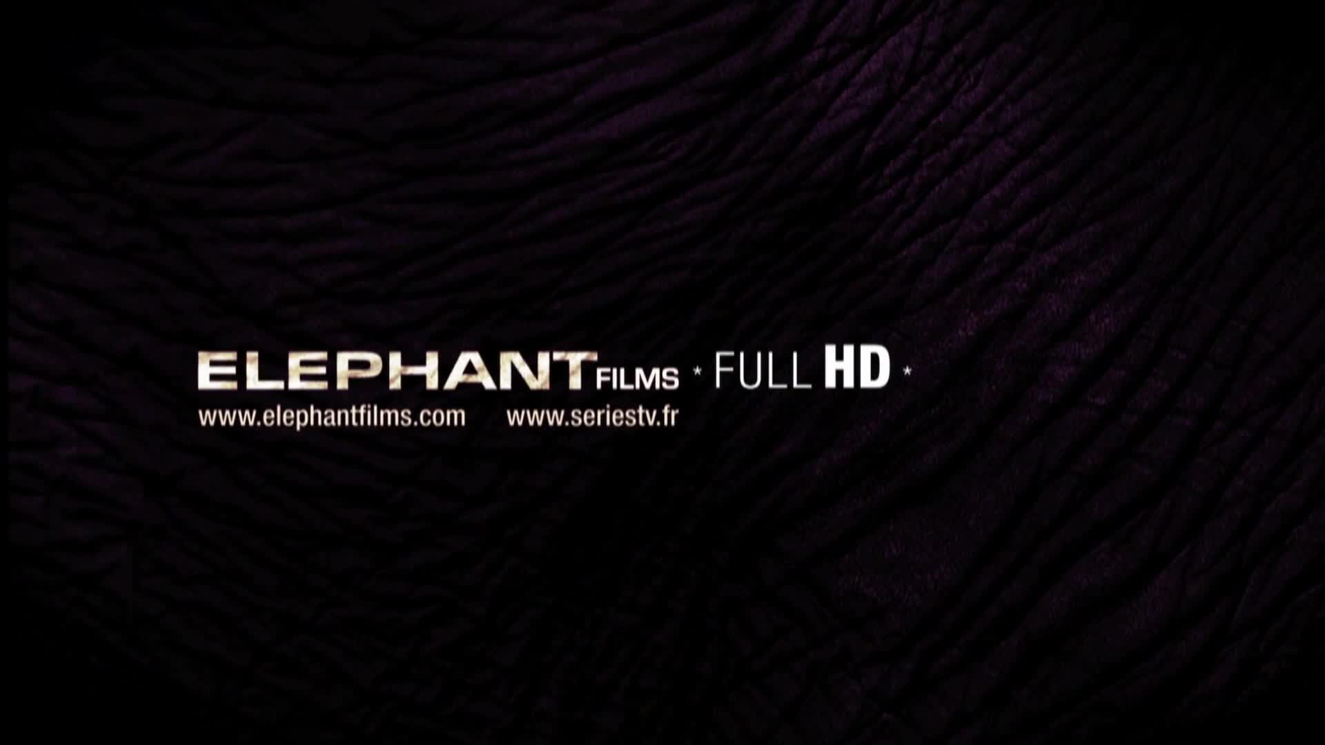 Coffret Nikkatsu Roman Porno 1971-2016 Une histoire Erotique du Japon ...