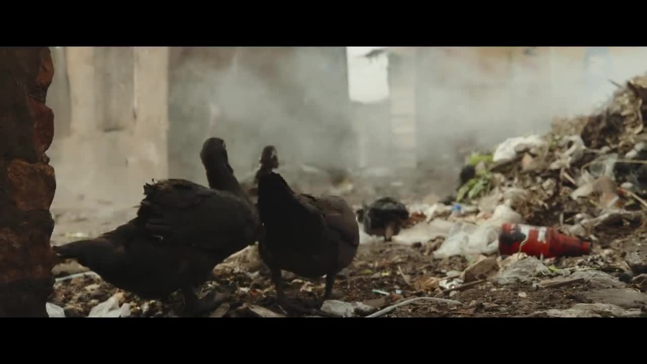 Jungle Rules - French Montana - CD album - Achat & prix | fnac