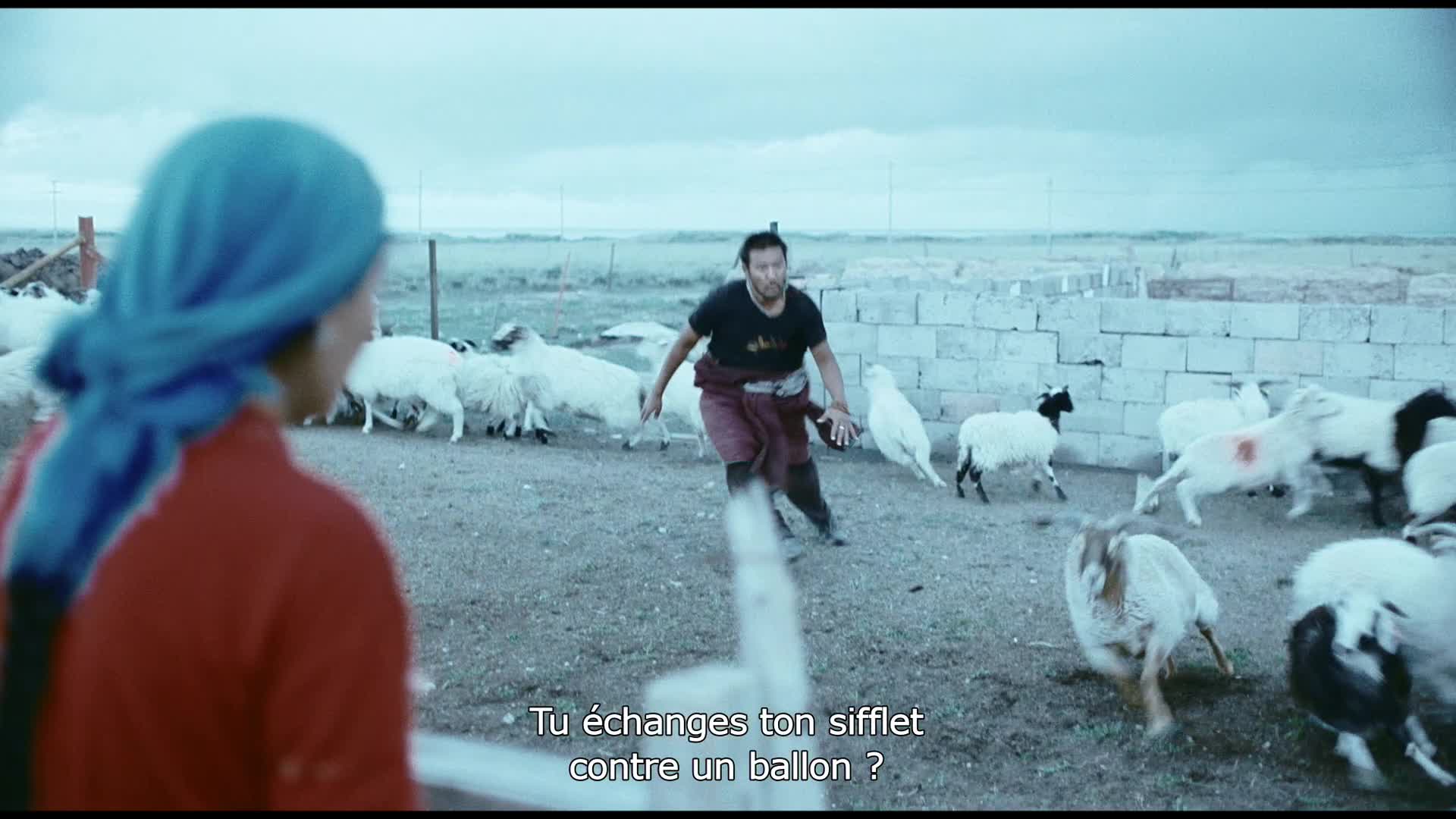 Balloon DVD - Pema Tseden - DVD Zone 2 - Achat & prix | fnac