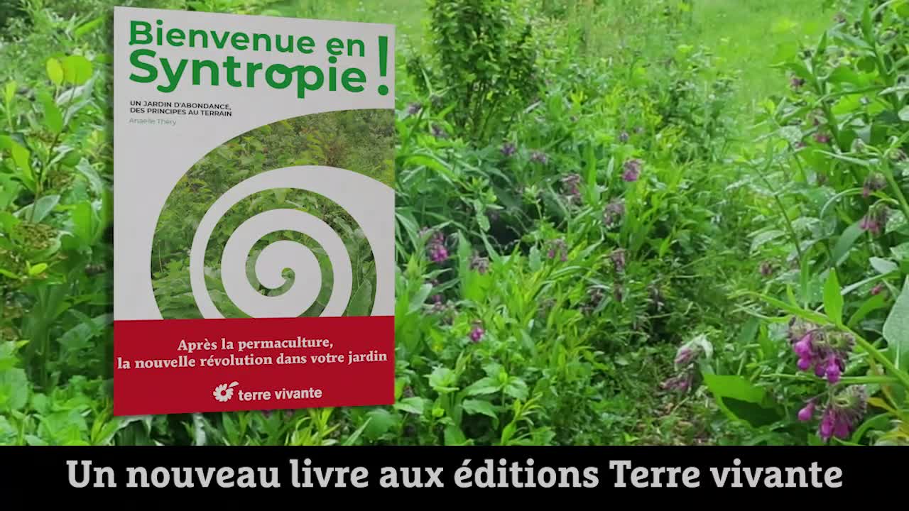 Bienvenue en syntropie Un jardin d'abondance, des principes au terrain ...