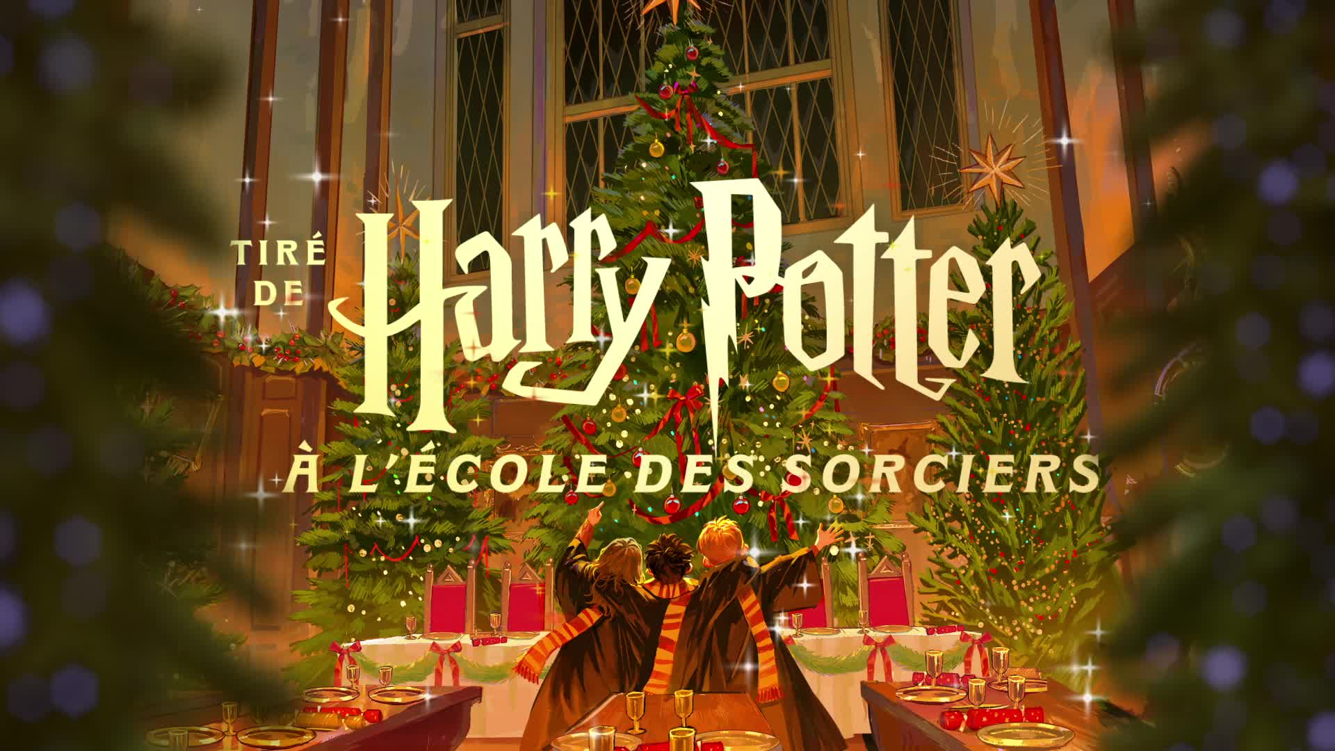 Harry Potter - Harry Potter - Noël à Poudlard - J.K. Rowling, Jean ...