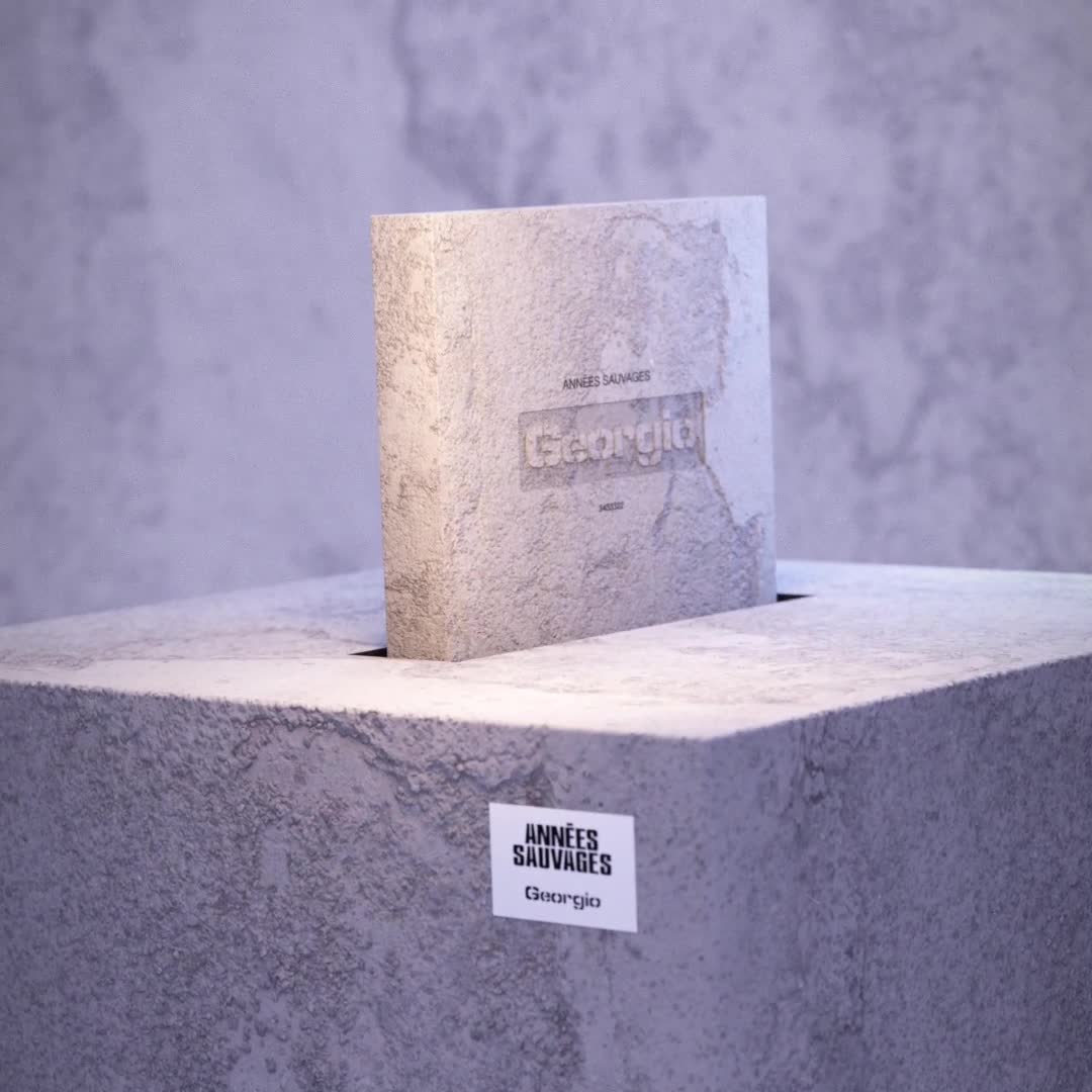 Années sauvages Édition Limitée Coffret - Georgio - CD album - Achat ...