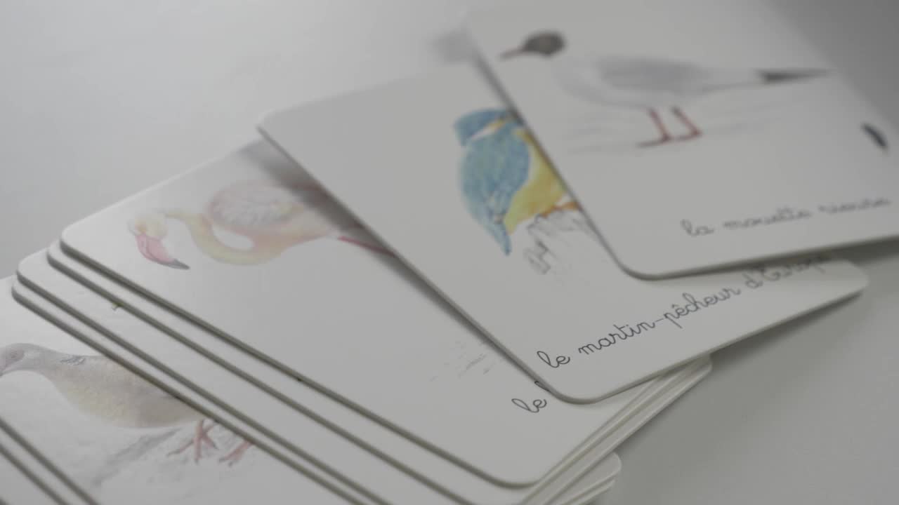 Mon coffret Montessori des oiseaux 105 cartes classifiées pour ...