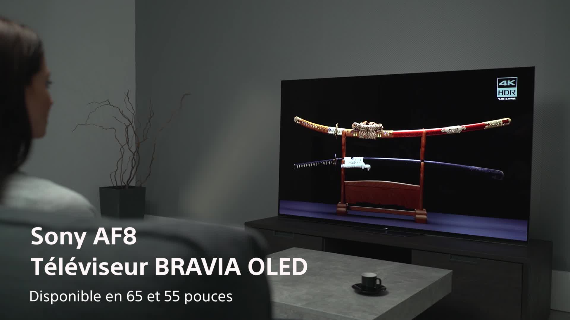Sony KD-65AF8 - Classe de diagonale 65" (64.5" visualisable) - AF8 ...